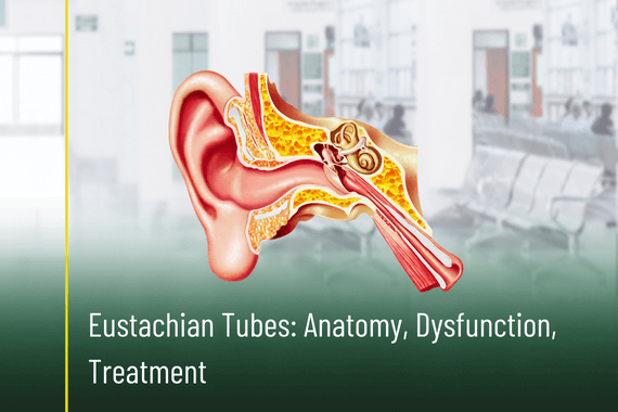 Eustachian Tubes: Anatomy, Dysfunction, Treatment - Tarabichi